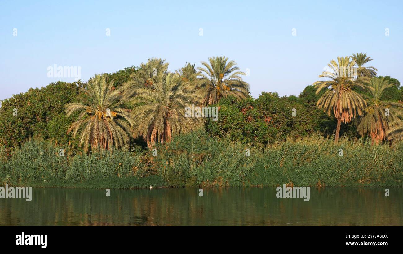 Cruise on the Nile River, view from dahabiah in Egypt Stock Photo - Alamy