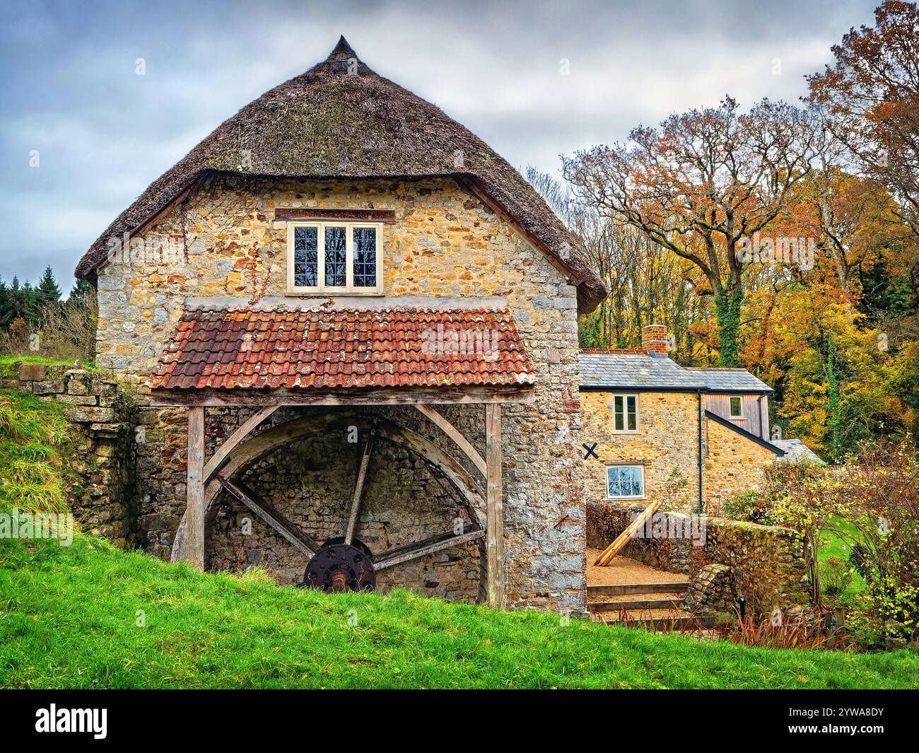 Devon dorset border hi-res stock photography and images - Alamy