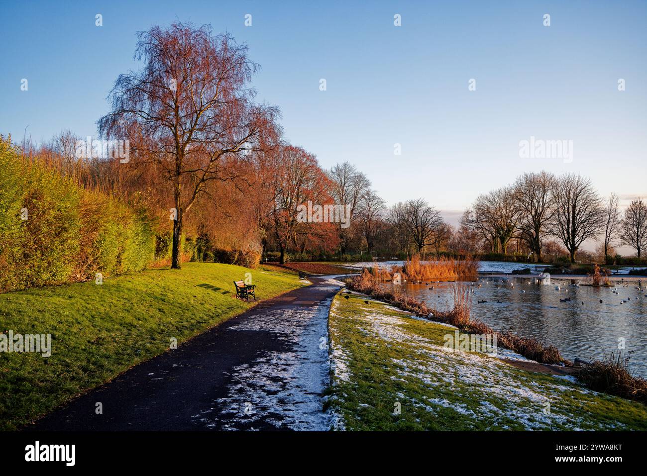 Winter in Clarence Park, Bury, Lancashire Stock Photo - Alamy