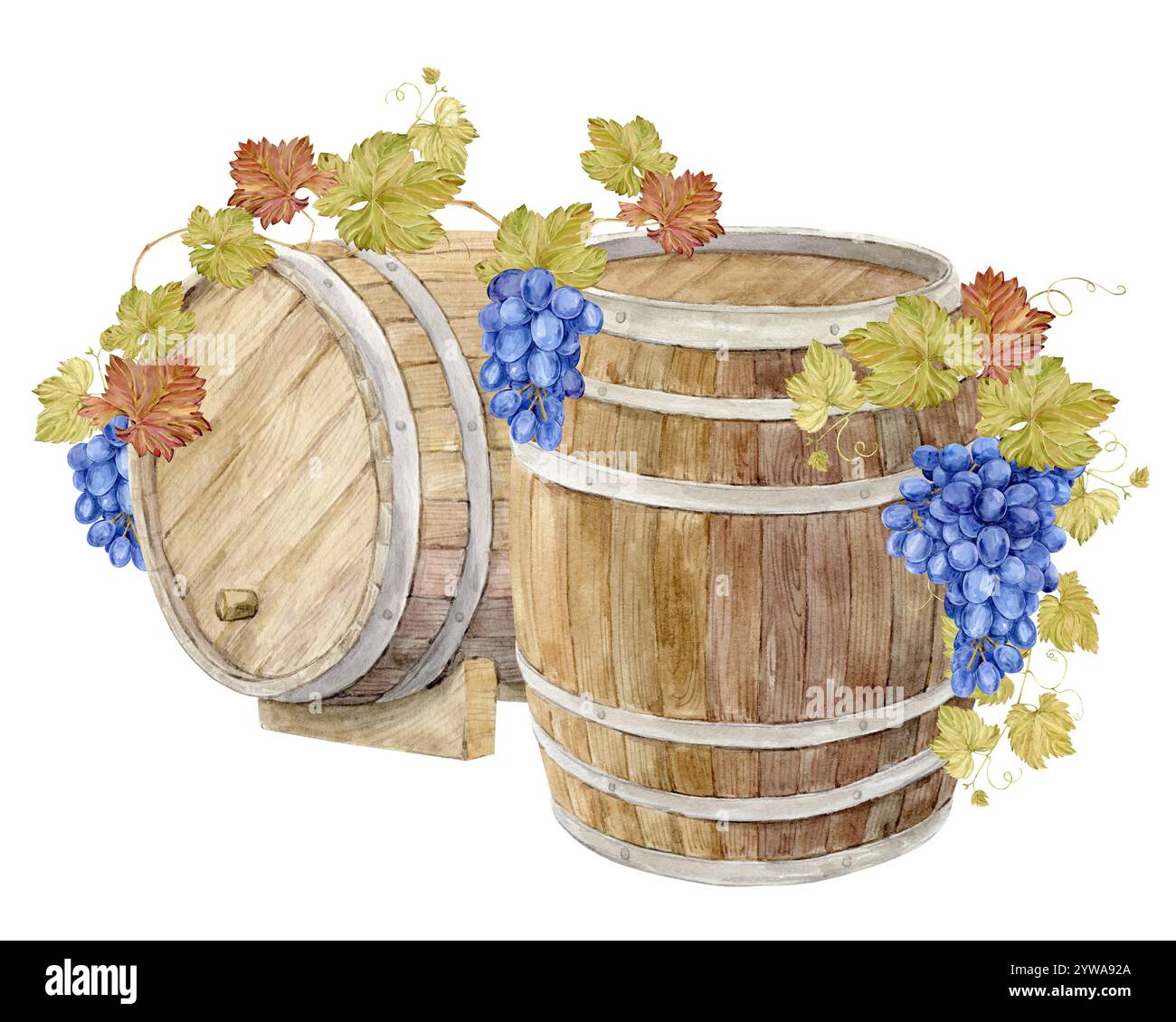 Two Watercolor wooden oak barrel for storing fermented wine. Watercolor ...