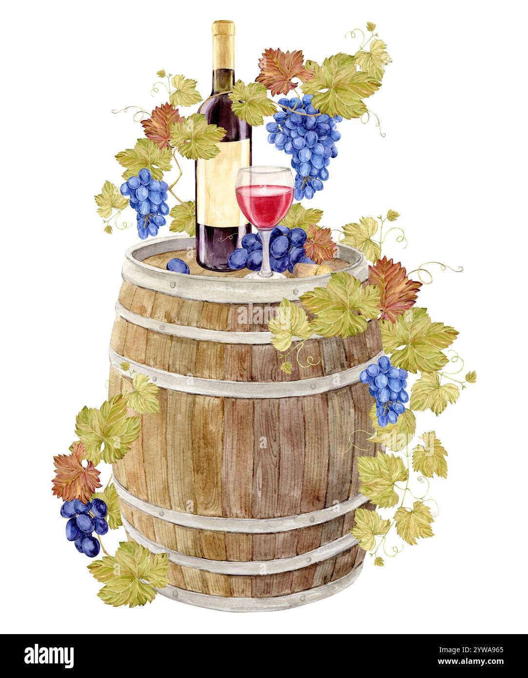 Watercolor wooden oak barrel for storing fermented wine. Red wine ...