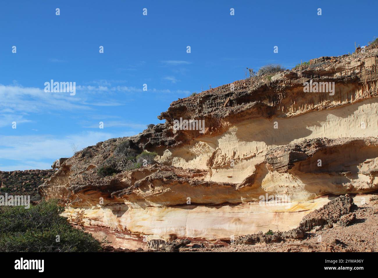 Skolithos worms hi-res stock photography and images - Alamy