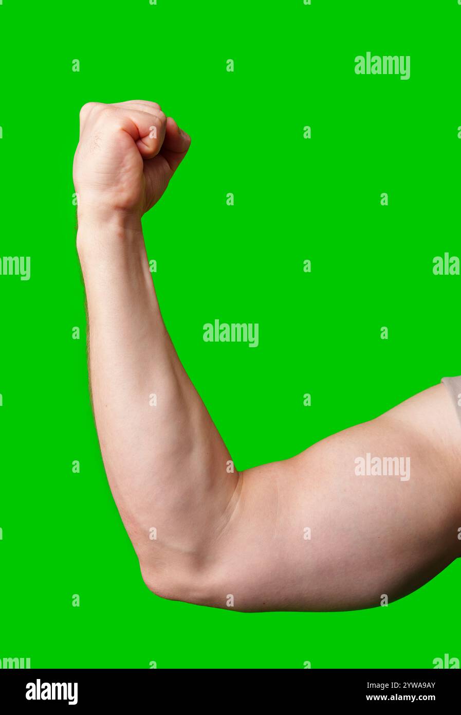Strong and muscular arm flexing against a bright green background Stock ...