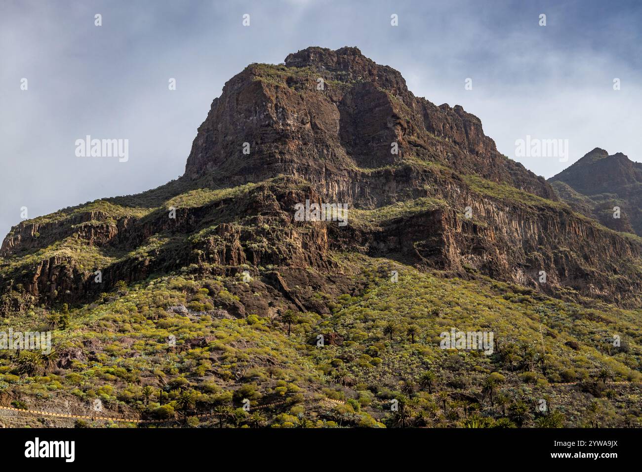 The Masca Gorge is one of the most popular places in Tenerife. Walking ...