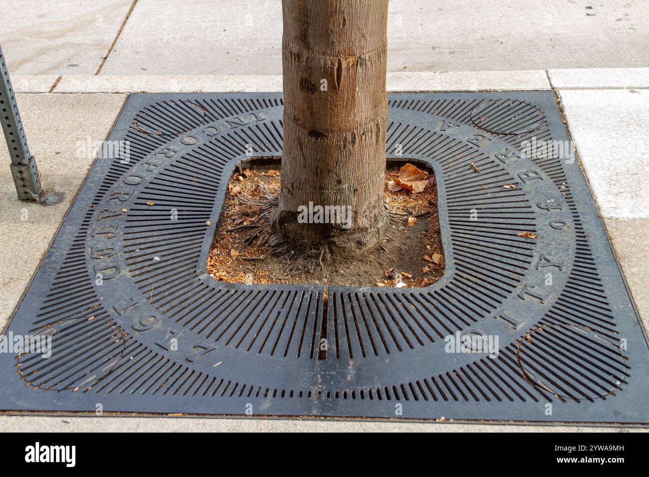 Brea, CA, USA - November 25, 2024: A tree grate at the curb on a street ...