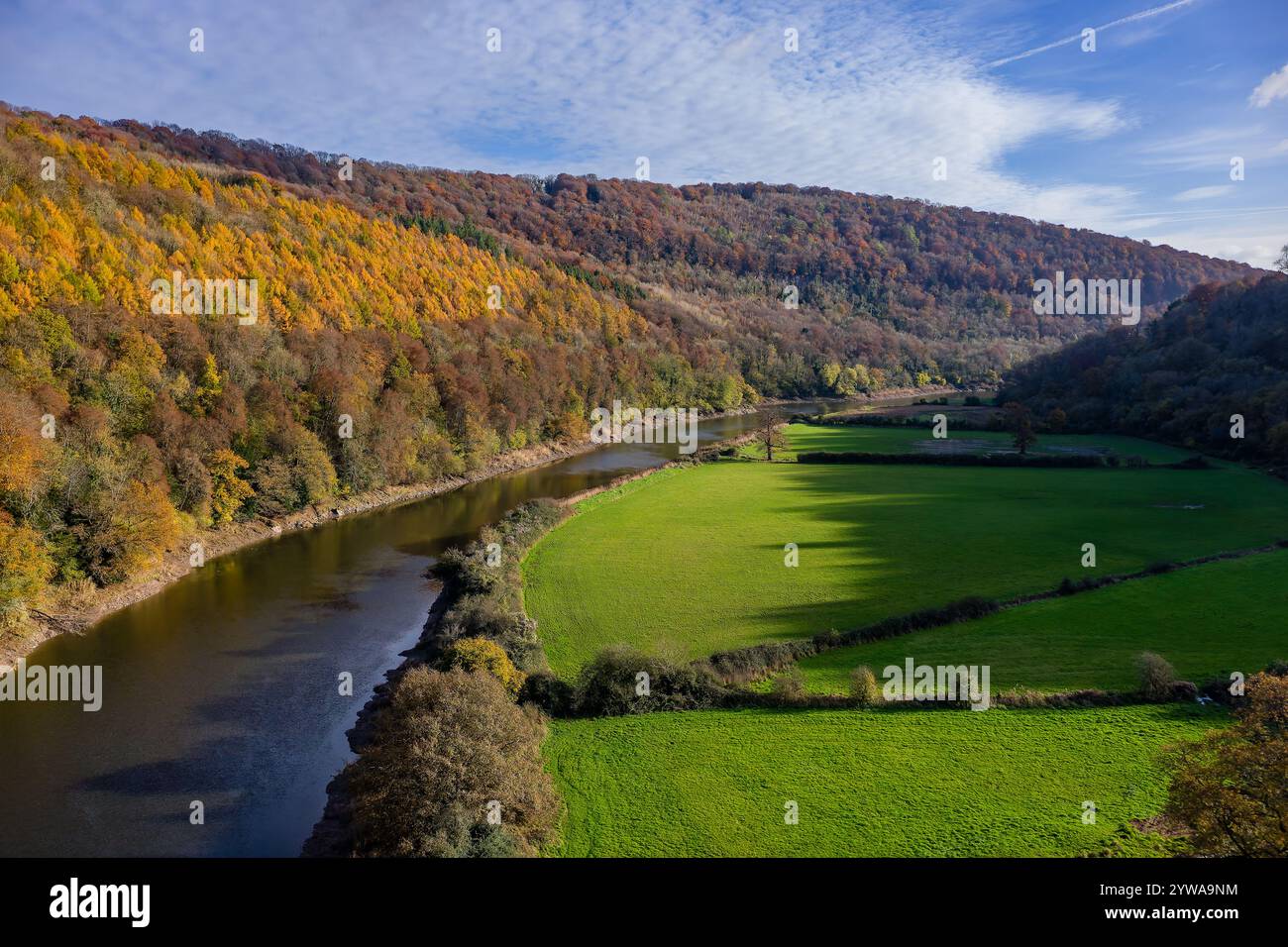 Low angle aerial view of a river surrounded by beautiful autumn foliage ...