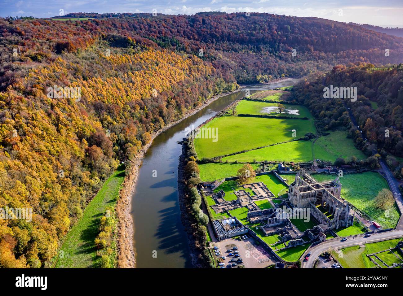 Aerial view of colourful autumn leaves and the ruins of Tintern Abbey ...