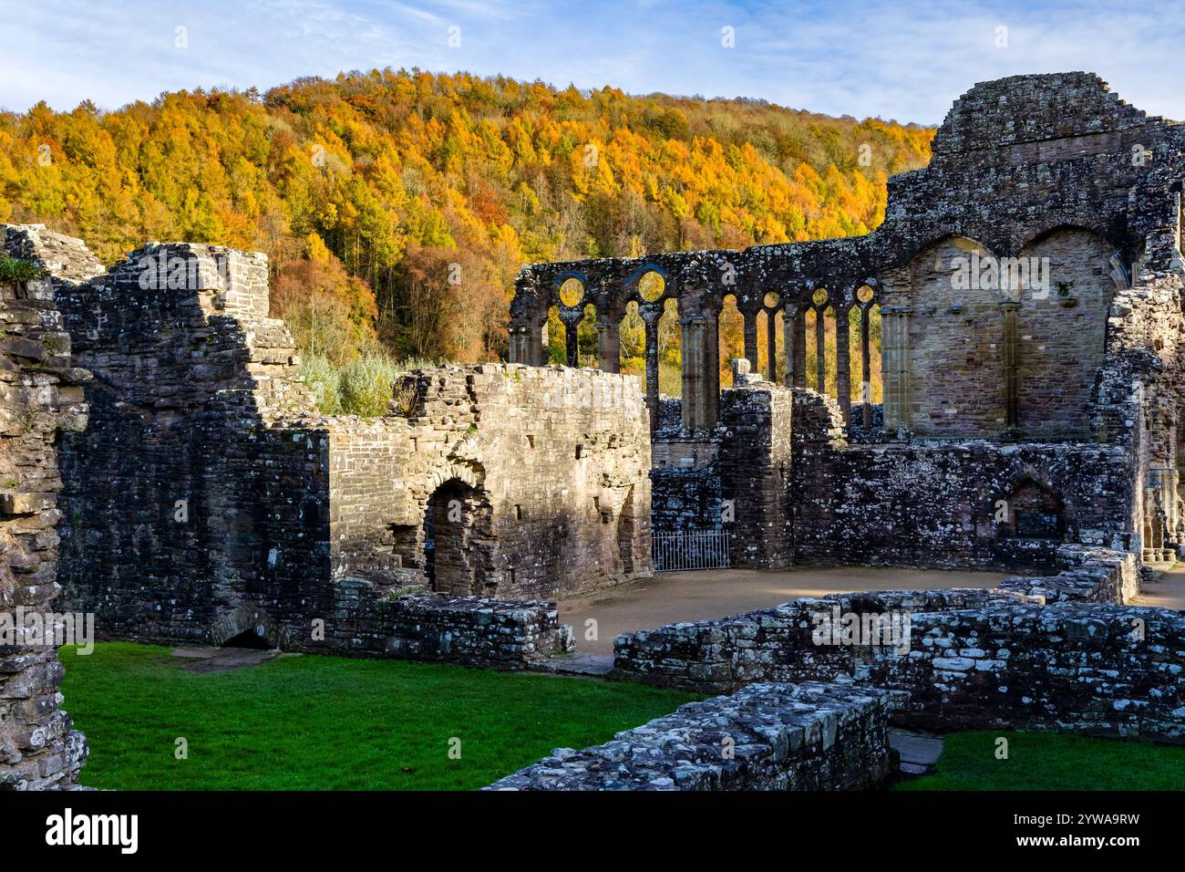 Ruins of Tintern Abbey and spectacular autumn foliage behind Stock ...