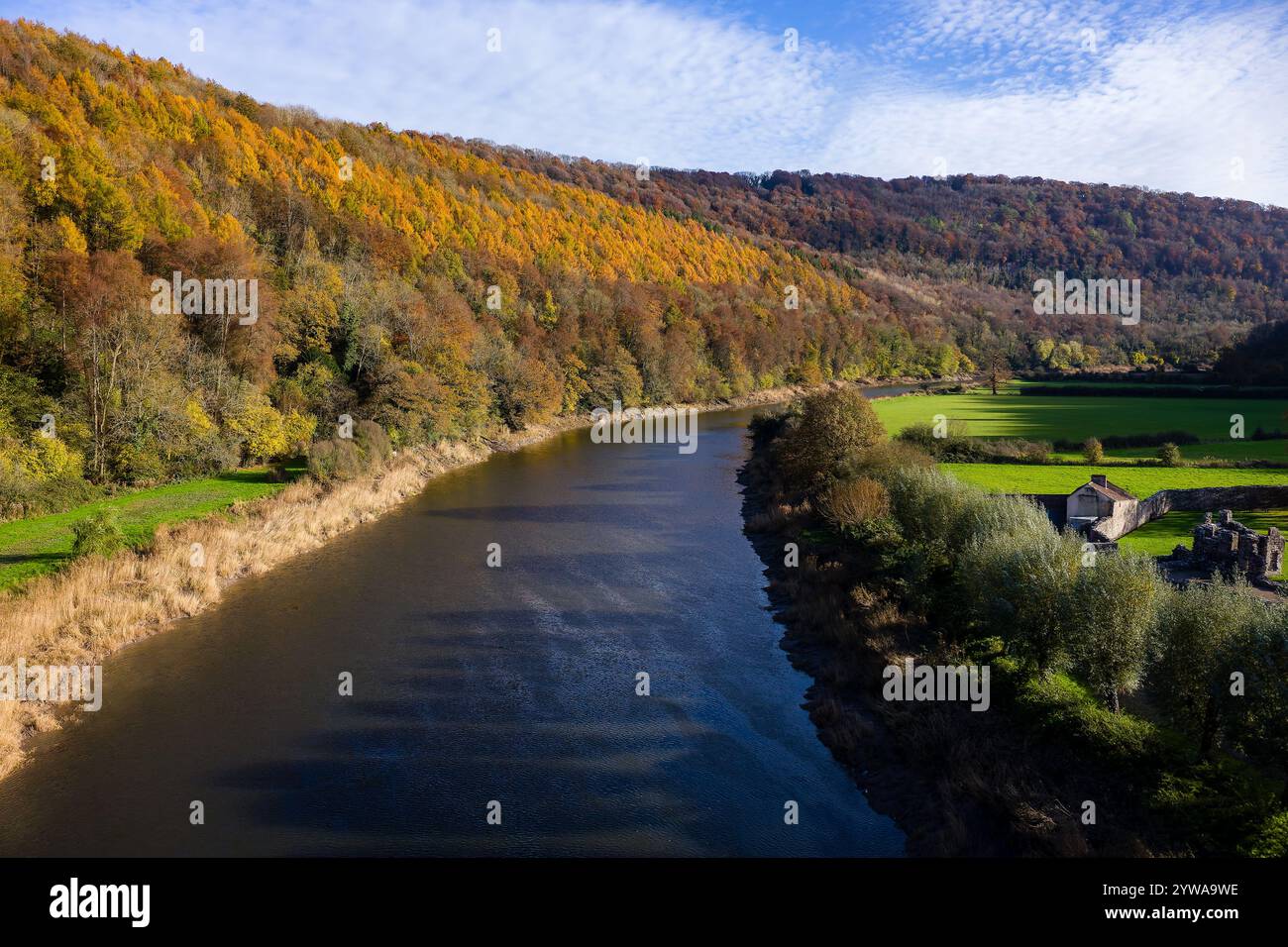 Drone image of the River Wye at Tintern with autumn foliage Stock Photo ...