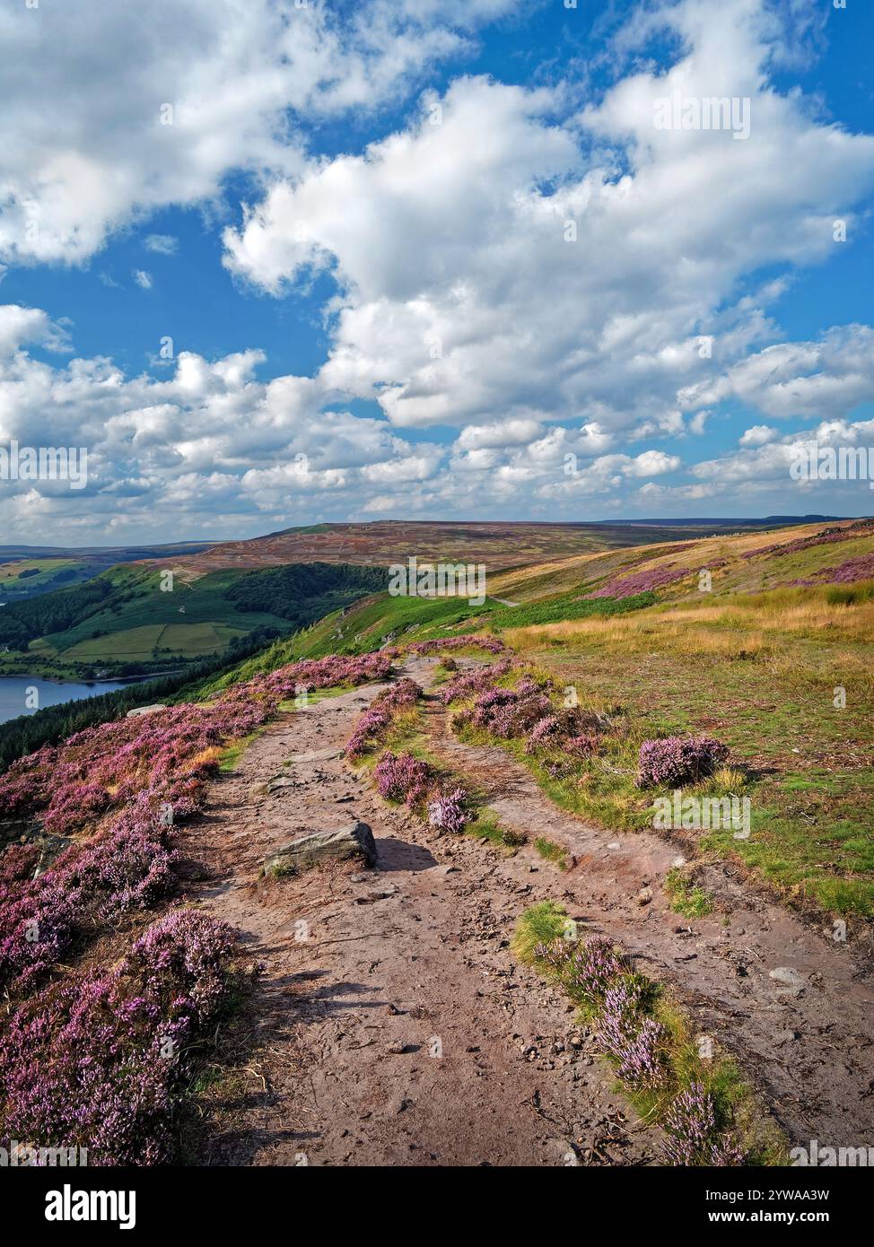 UK, Derbyshire, Peak District, Looking towards Ladybower Reservoir and ...