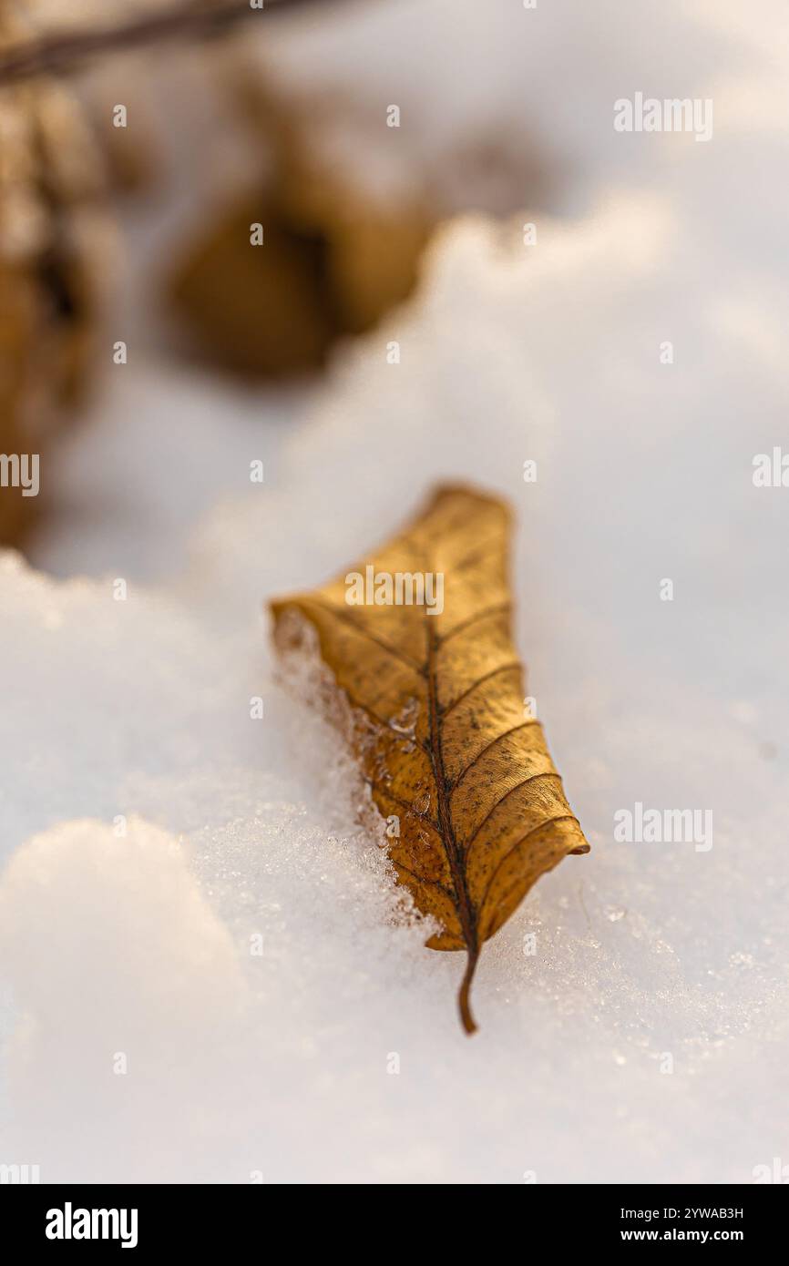 Partly covered hi-res stock photography and images - Alamy