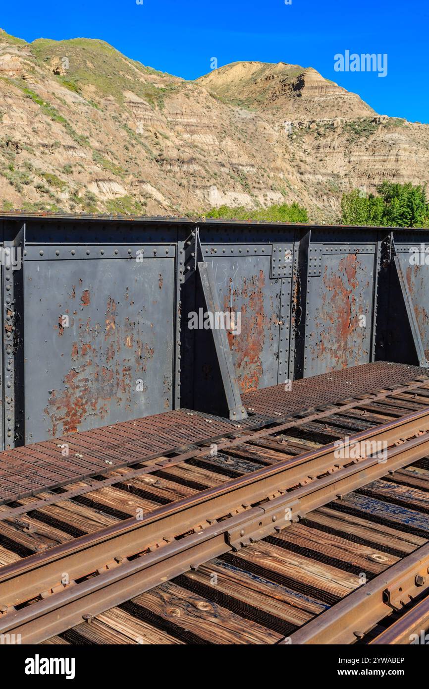 The train tracks are old and rusty, and the train is not in use. The ...