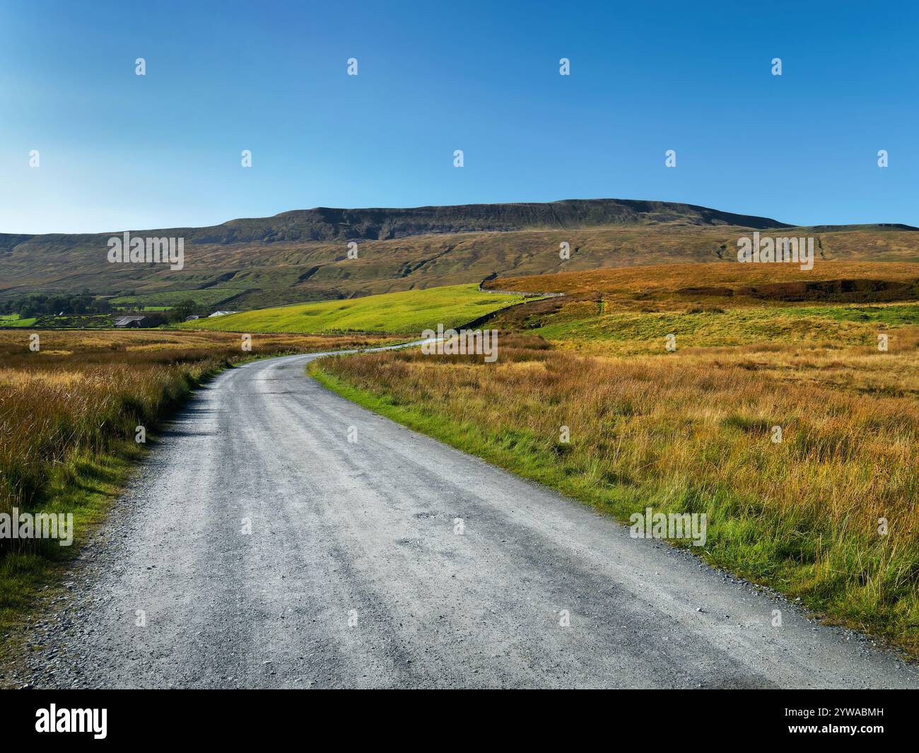 UK, North Yorkshire, Yorkshire Dales, Ribblehead, Path looking towards ...