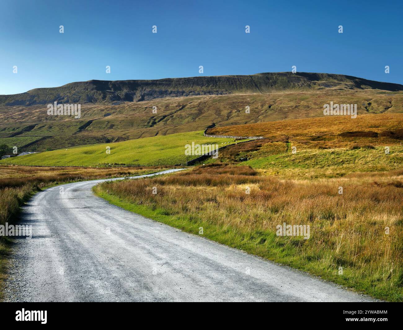 UK, North Yorkshire, Yorkshire Dales, Ribblehead, Path looking towards ...