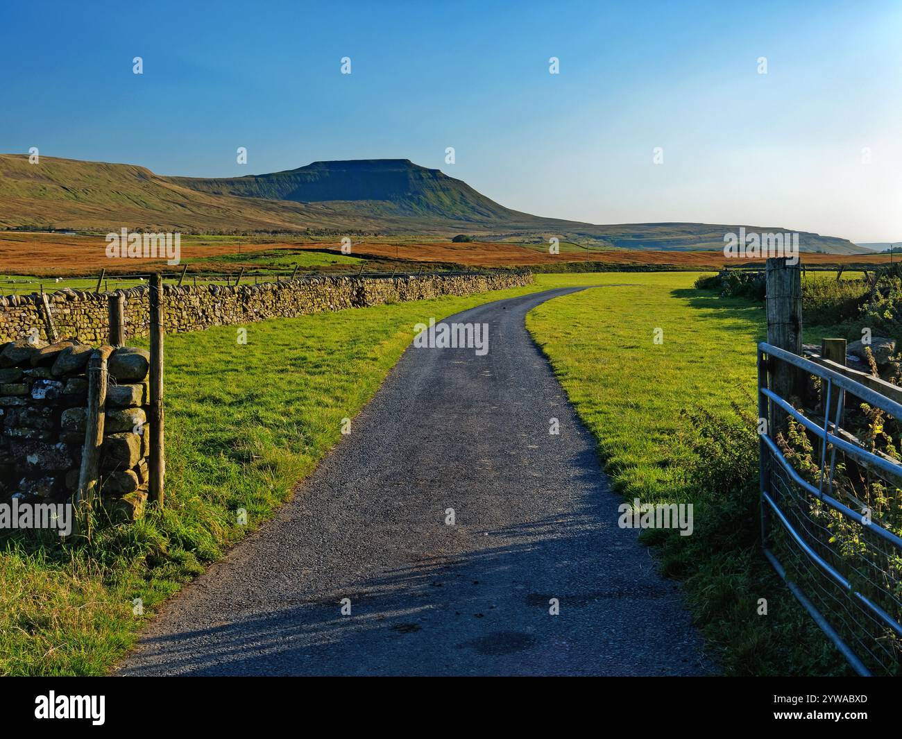UK, North Yorkshire, Yorkshire Dales, Ribblehead, Path and Gate looking ...