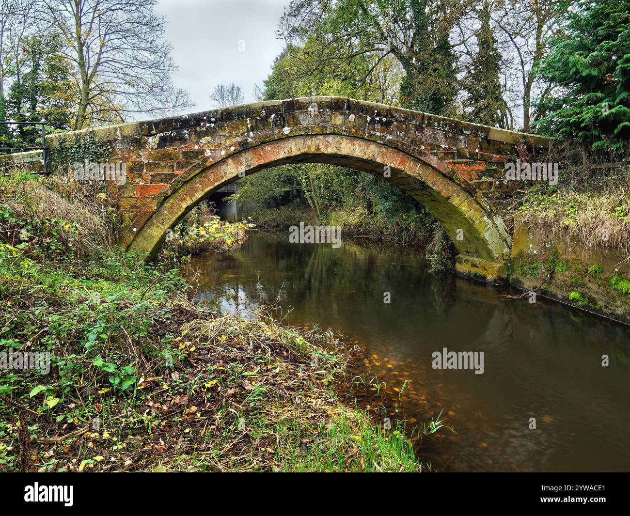Cod beck thirsk hi-res stock photography and images - Alamy