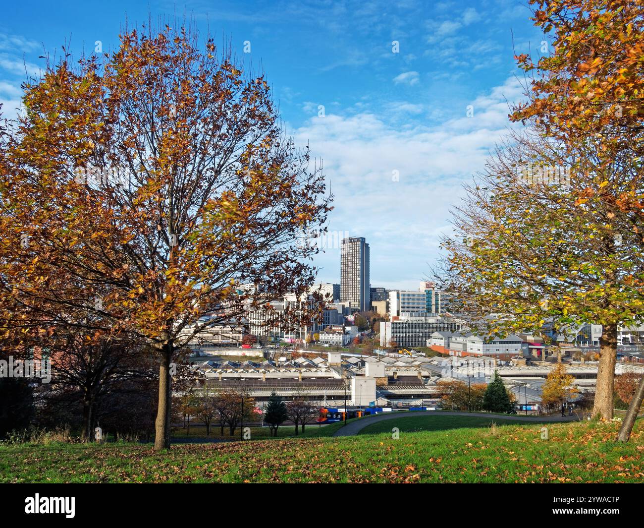 Sheaf street sheffield hi-res stock photography and images - Alamy