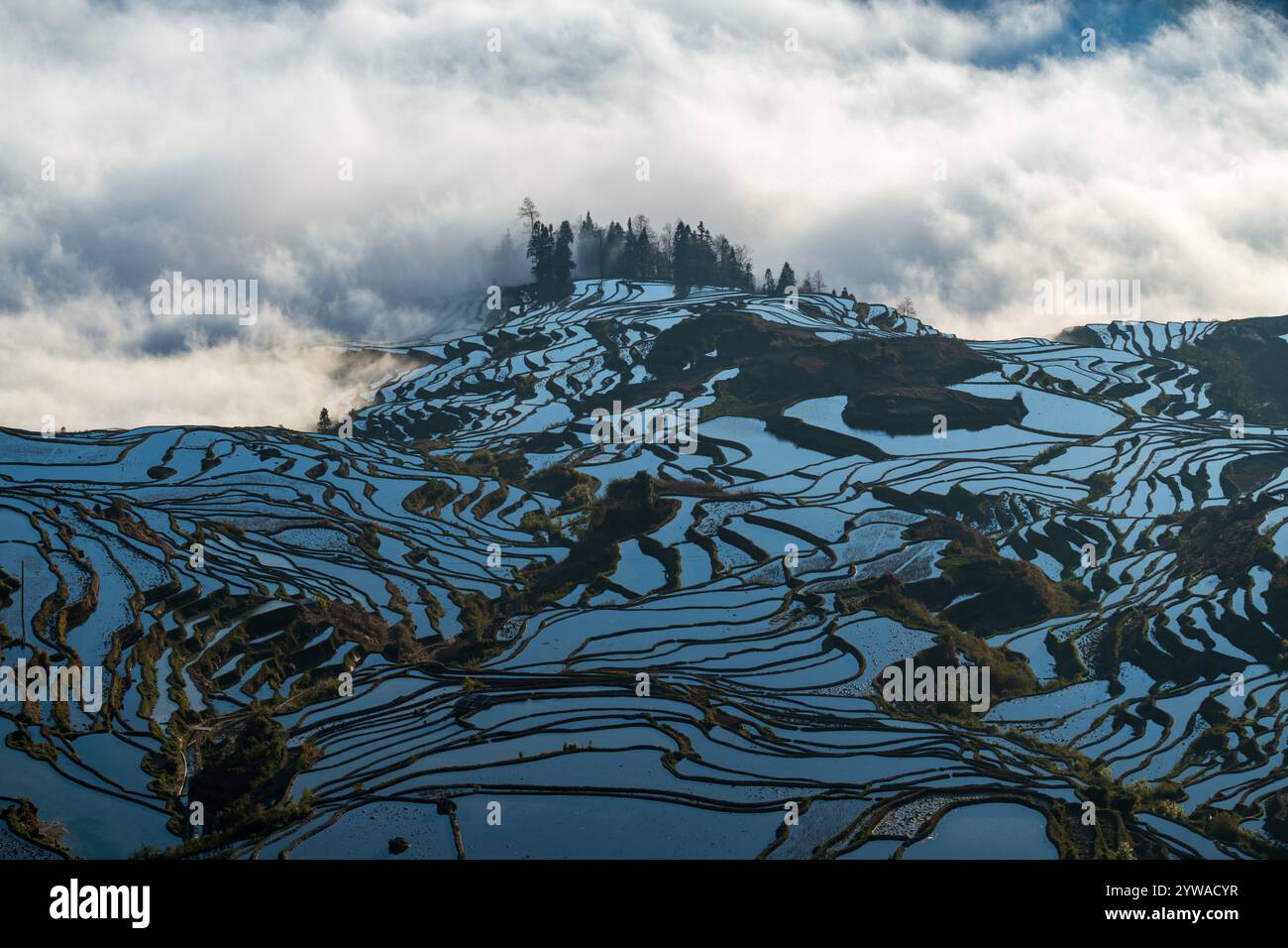 Aerial view of Yuanyang rice terrace at sunrise, Yunnan, China Stock ...