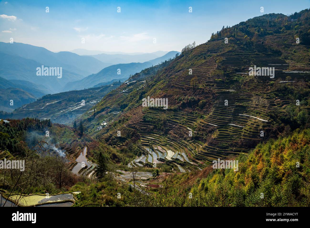 Aerial view of Yuanyang rice terrace at sunrise, Yunnan province, China ...