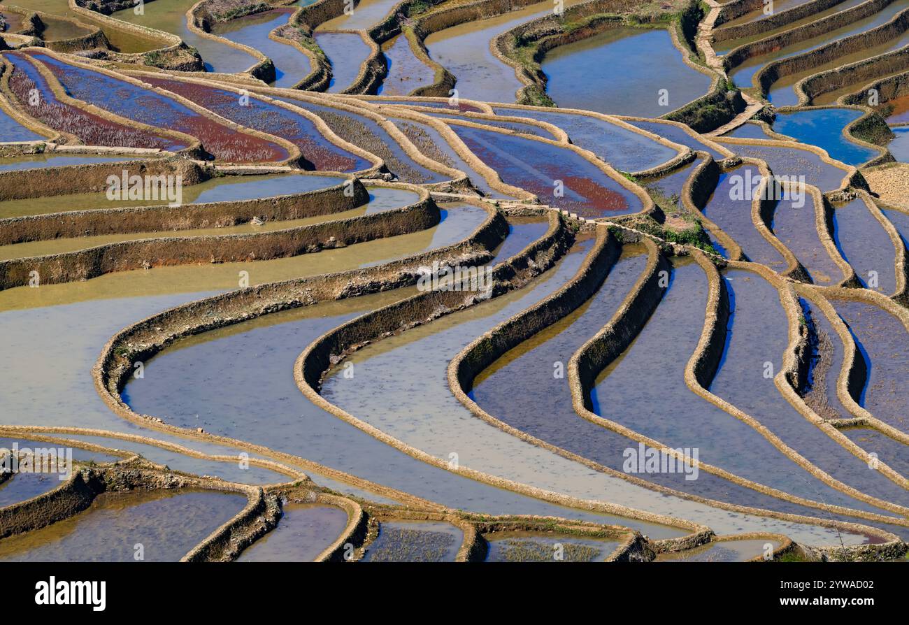 Aerial drone view of Yuanyang rice terrace at sunrise, Yunnan province ...