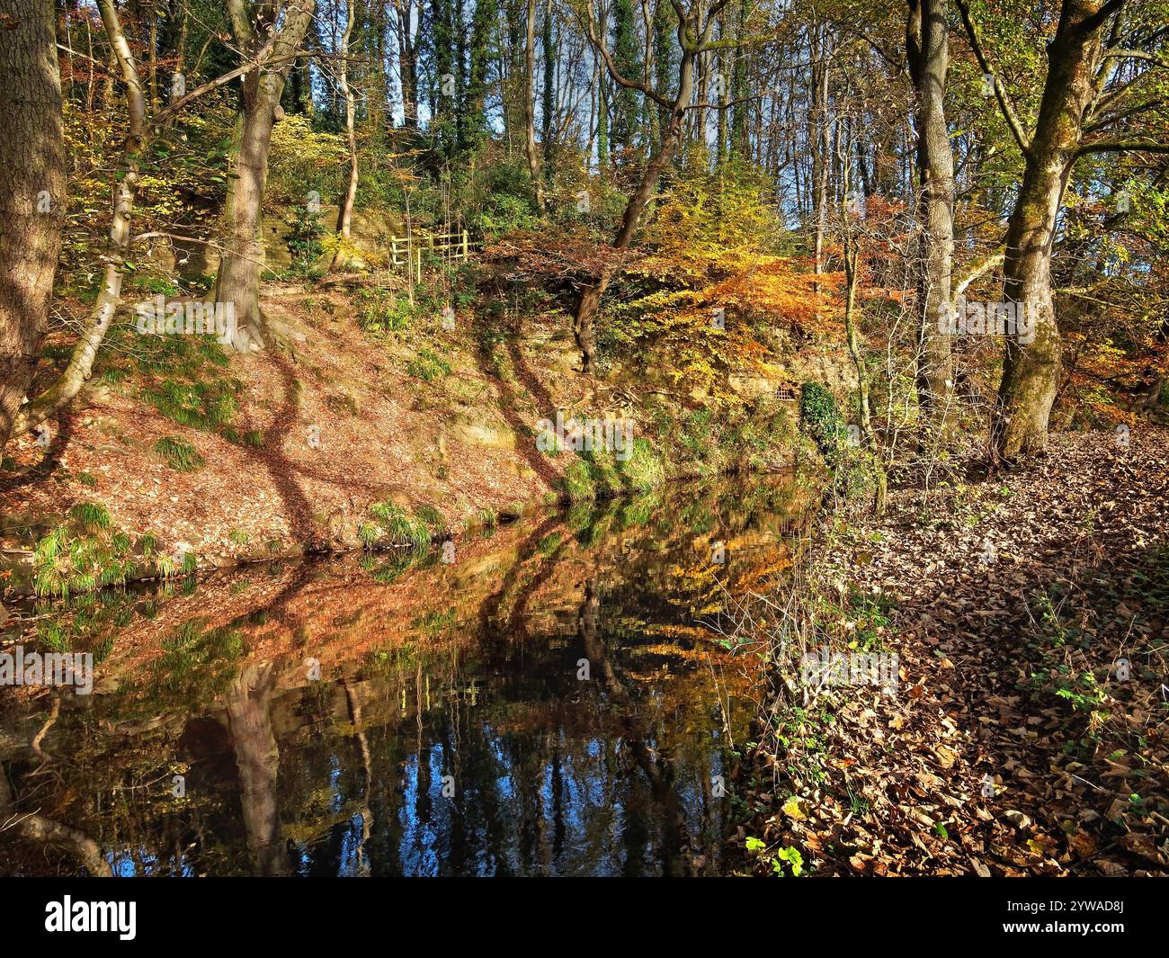 River rivelin hi-res stock photography and images - Alamy