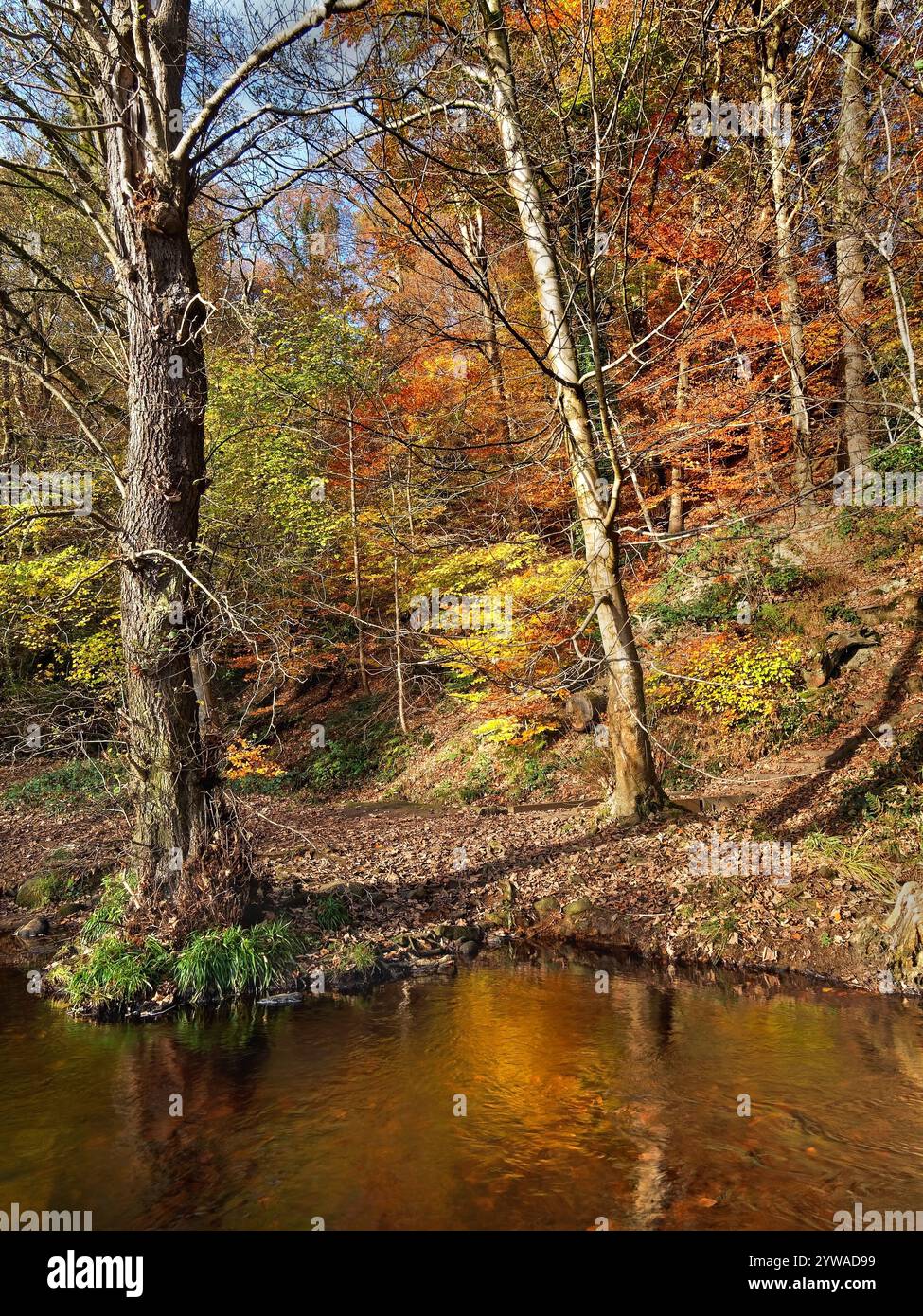 UK, South Yorkshire, Sheffield, Rivelin Valley, River Rivelin Stock ...