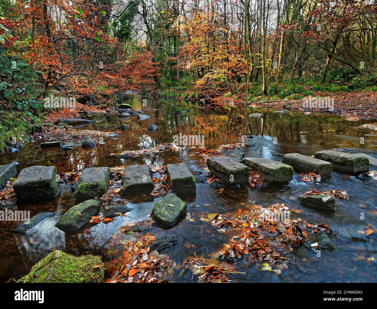 Roscoe stepping stones hi-res stock photography and images - Alamy