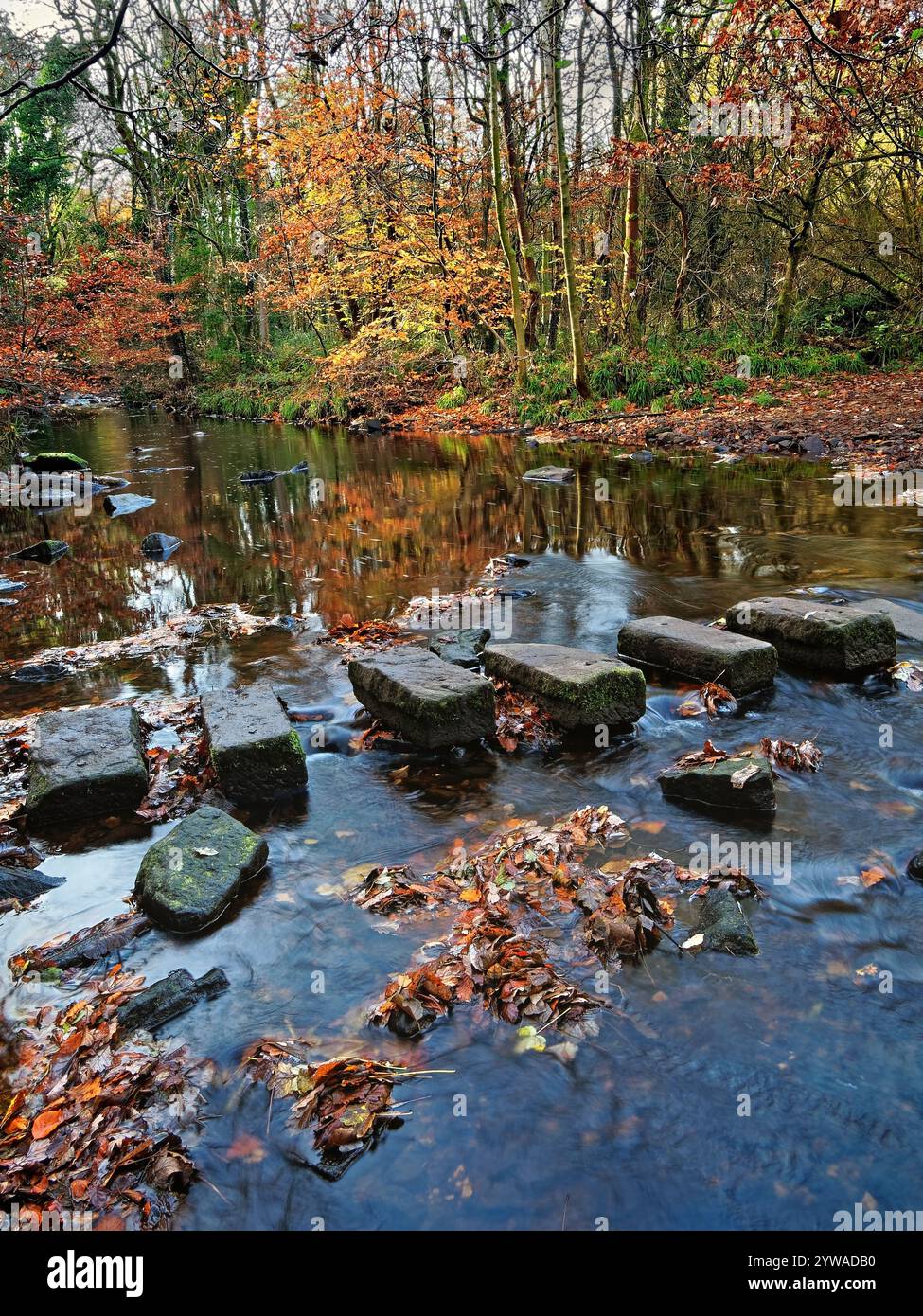 Roscoe stepping stones hi-res stock photography and images - Alamy