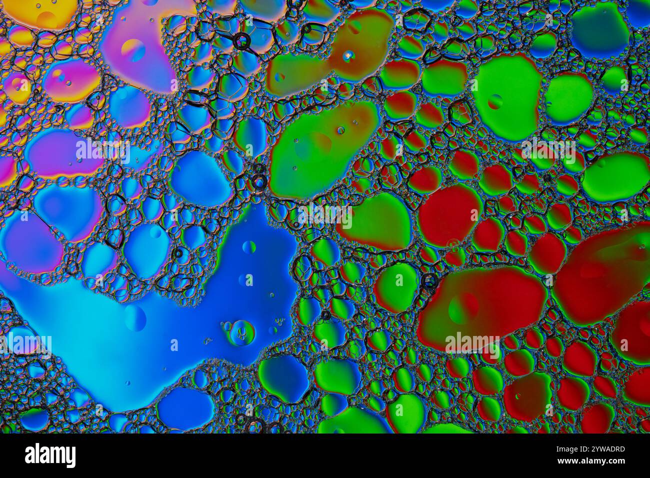 Bubble patterns created by oil on water against a coloured background ...