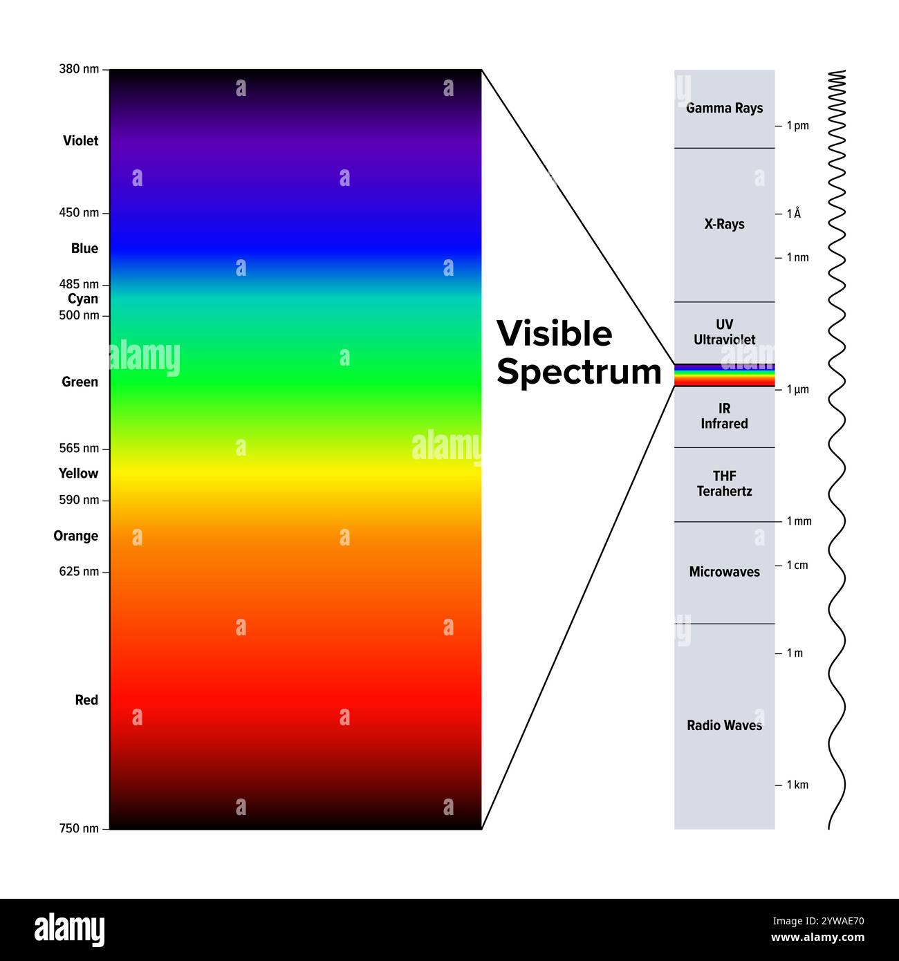Electromagnetic spectrum and separately highlighted the visible ... Electromagnetic spectrum and separately highlighted the visible ...