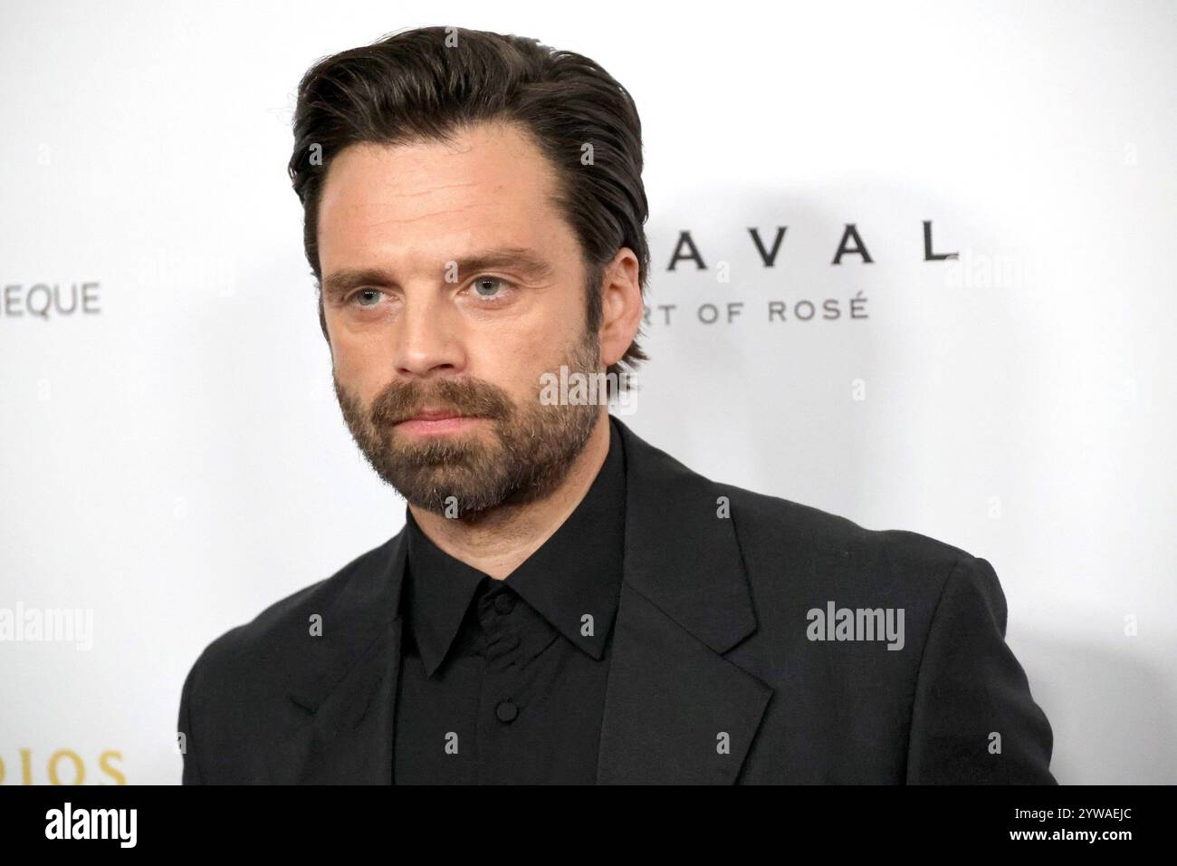 Ca. 06th Dec, 2024. Sebastian Stan at arrivals for 38th American ...