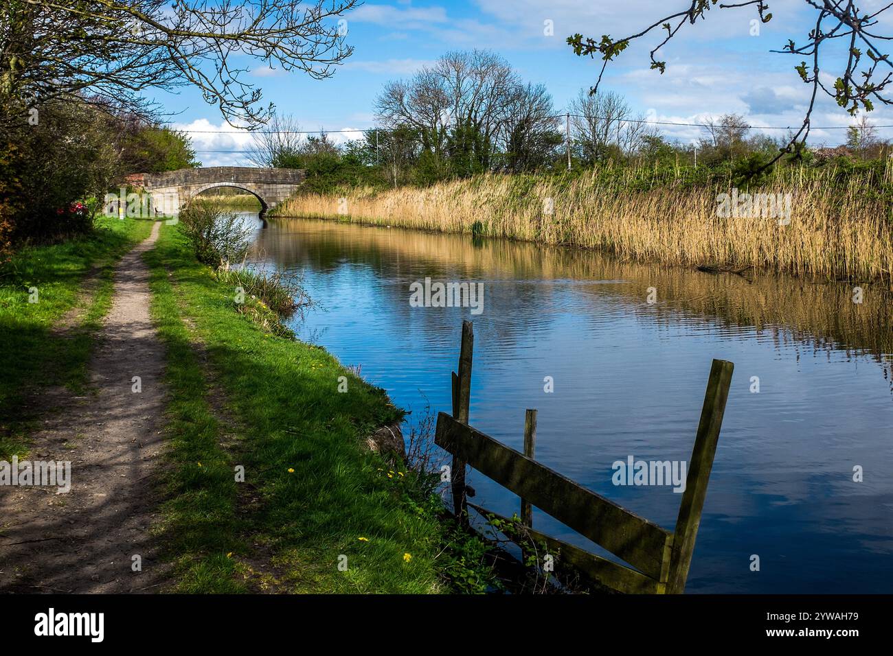 View of the Leeds - Liverpool Canal at Halsall Stock Photo - Alamy