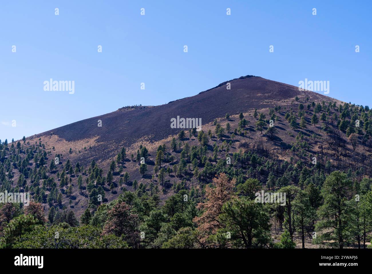 Photograph of Sunset Crater Volcano National Monument, an extinct ...