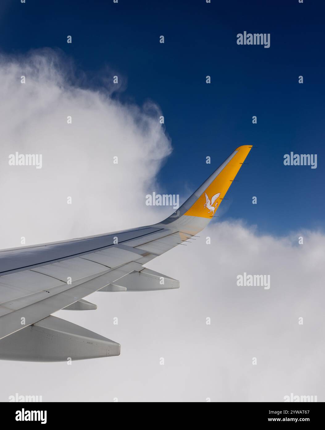 A high-resolution photo of a plane wing and blue sky viewed through an ...