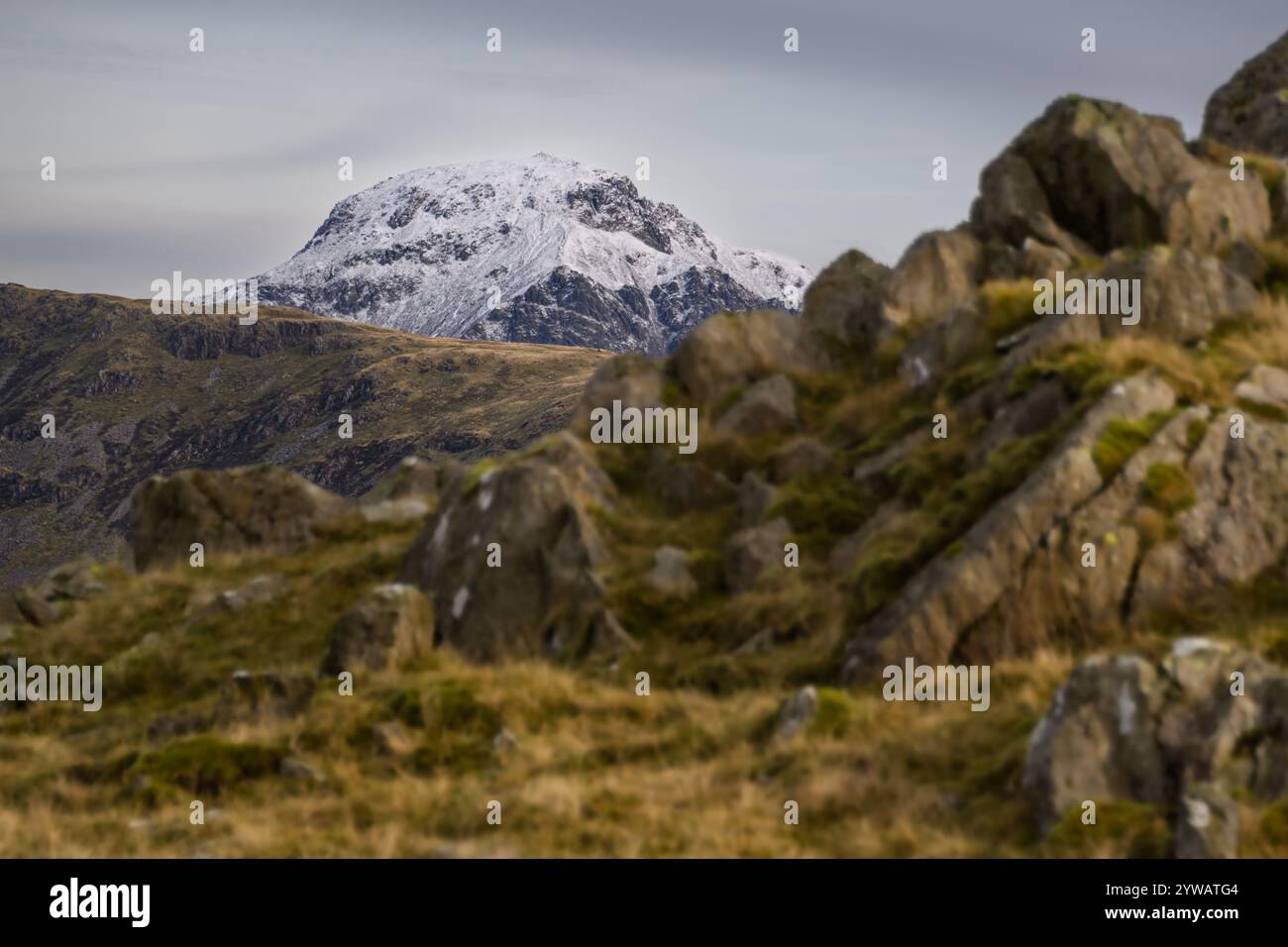 Middle Fell, Wasdale, Lake District, Cumbria Stock Photo - Alamy