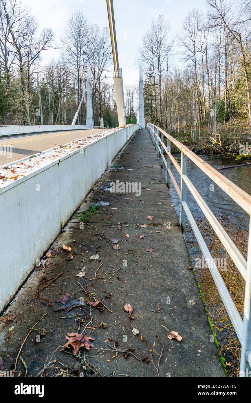 On the brdige at Falming Geyser State Park in Washington State Stock ...
