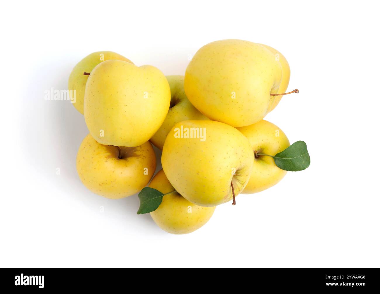 Many fresh yellow apples isolated on white, top view Stock Photo - Alamy
