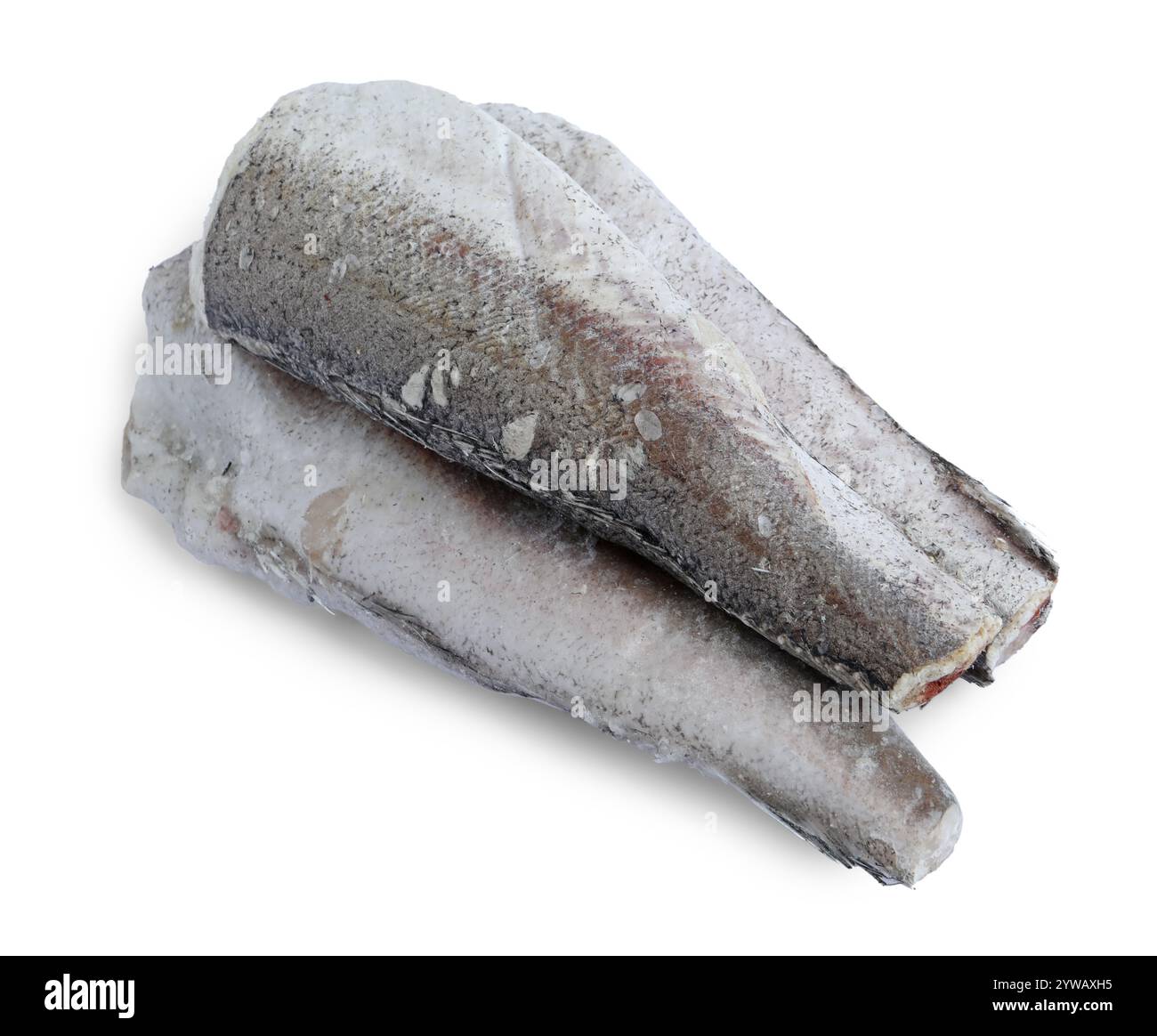 Three frozen hake fishes isolated on white, top view Stock Photo - Alamy