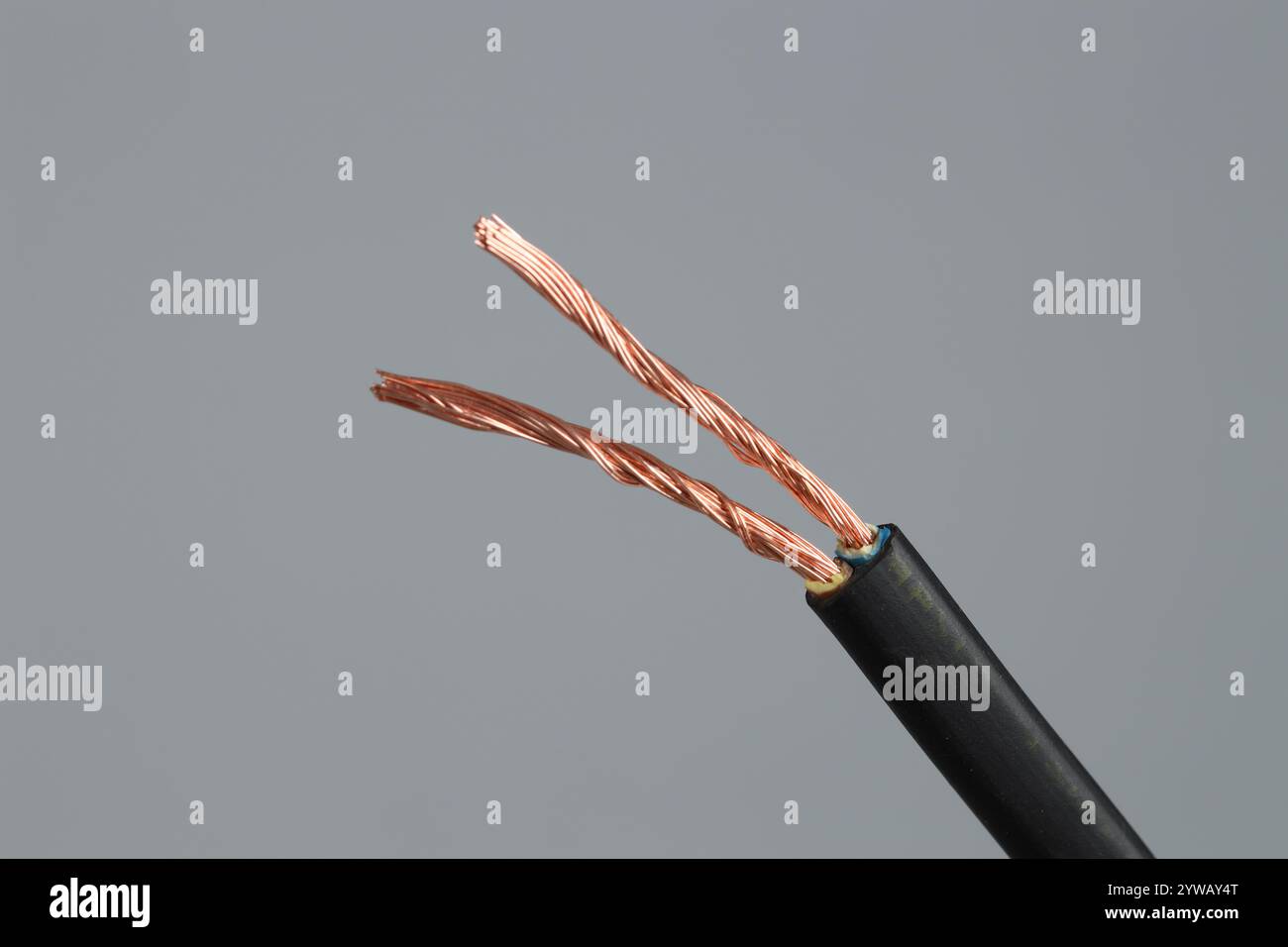 Black stripped electrical wire on light grey background, closeup Stock ...