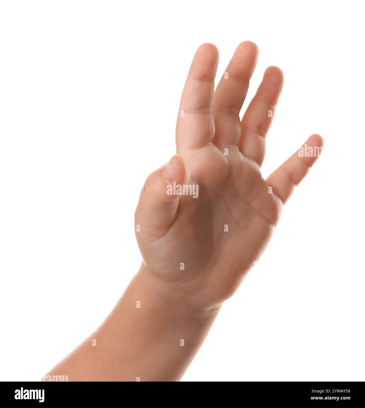 Little child on white background, closeup of hand Stock Photo - Alamy