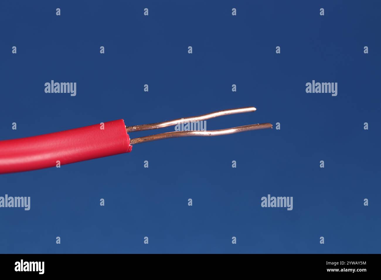 Red stripped electrical wire on blue background, closeup Stock Photo ...