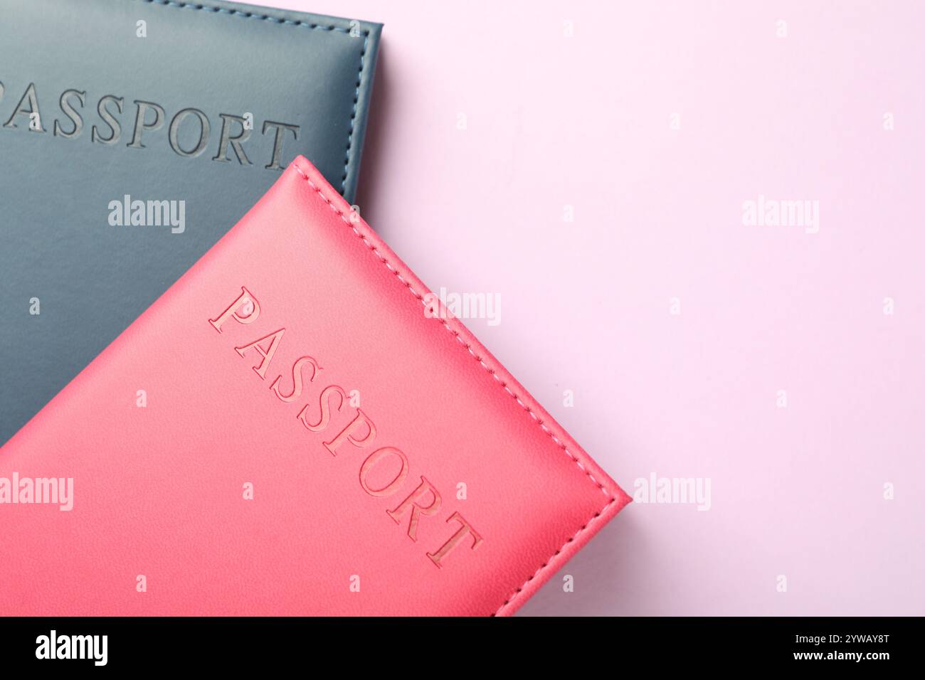 Passports in color covers on pink background, top view. Space for text ...