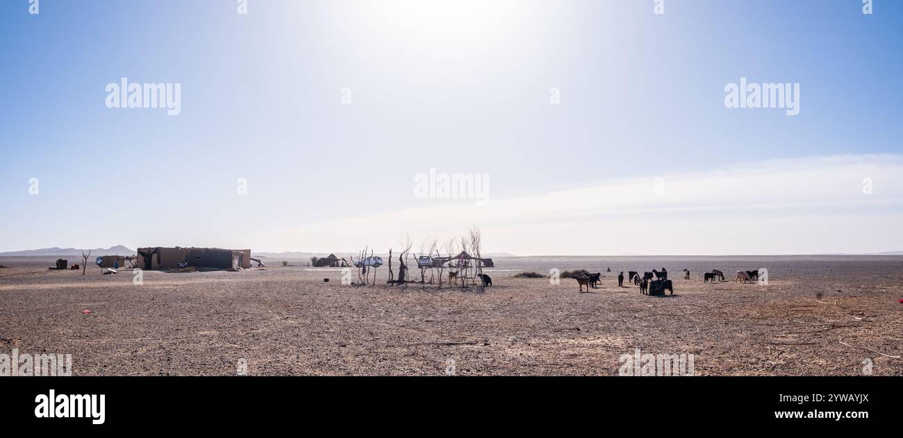A nomad camp in the middle of the Sahara desert in Morocco, North ...