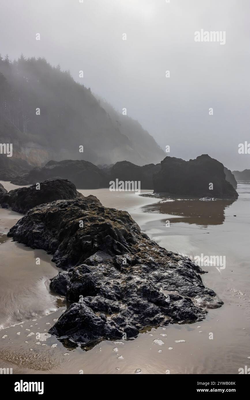 Oregon Coast at Neptune State Scenic Viewpoint, Oregon, USA Stock Photo ...