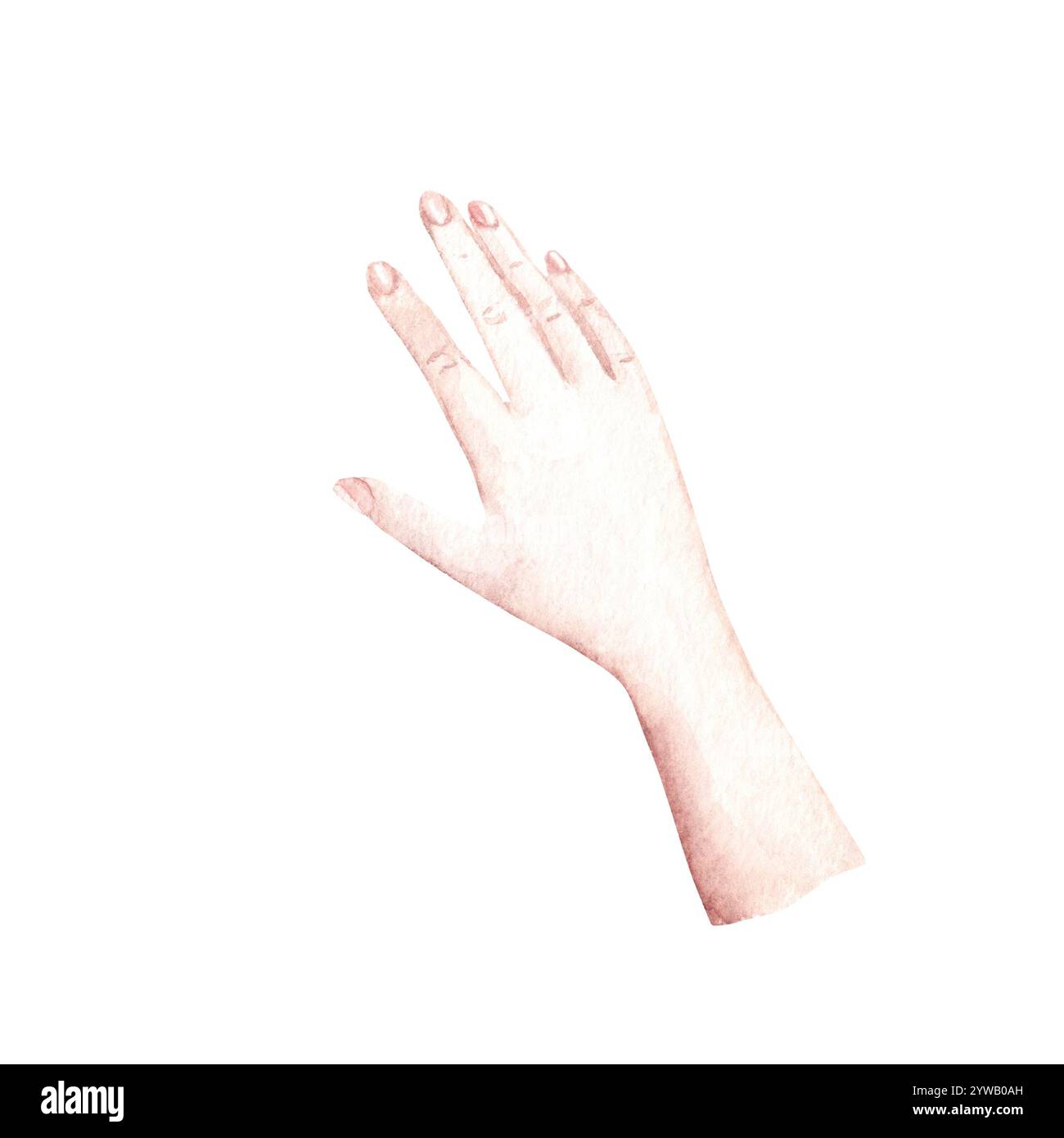 Woman right Hand. Watercolor hand drawn illustration in realistic style ...