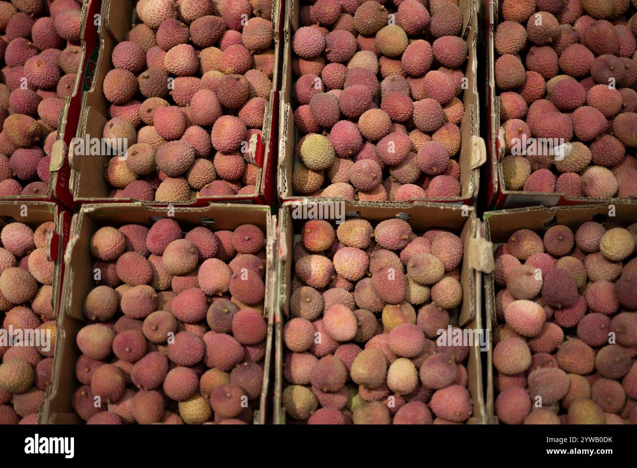 Rungis, France. 10th Dec, 2024. This photograph taken on 10 December ...