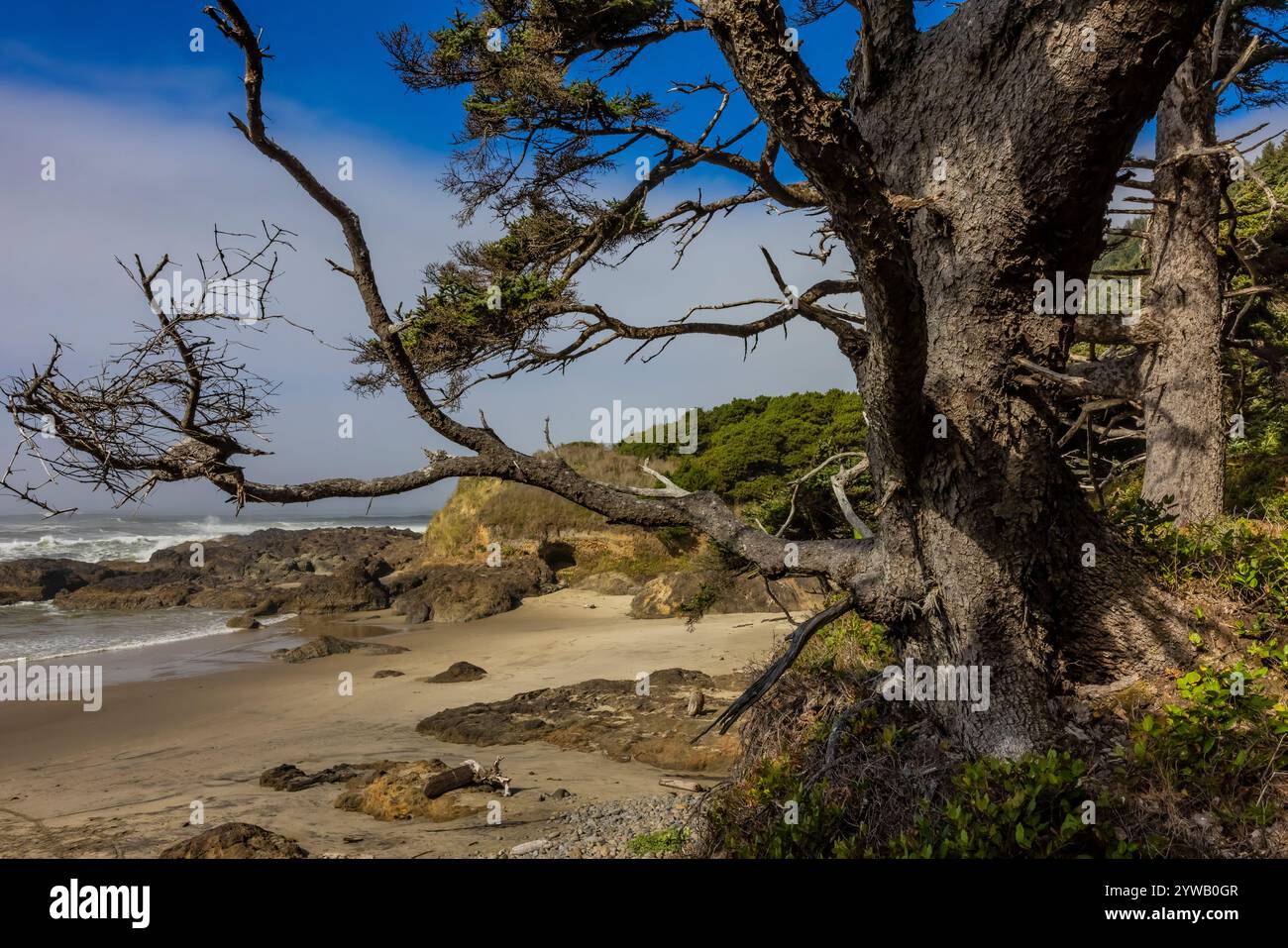 Oregon Coast at Neptune State Scenic Viewpoint, Oregon, USA Stock Photo ...