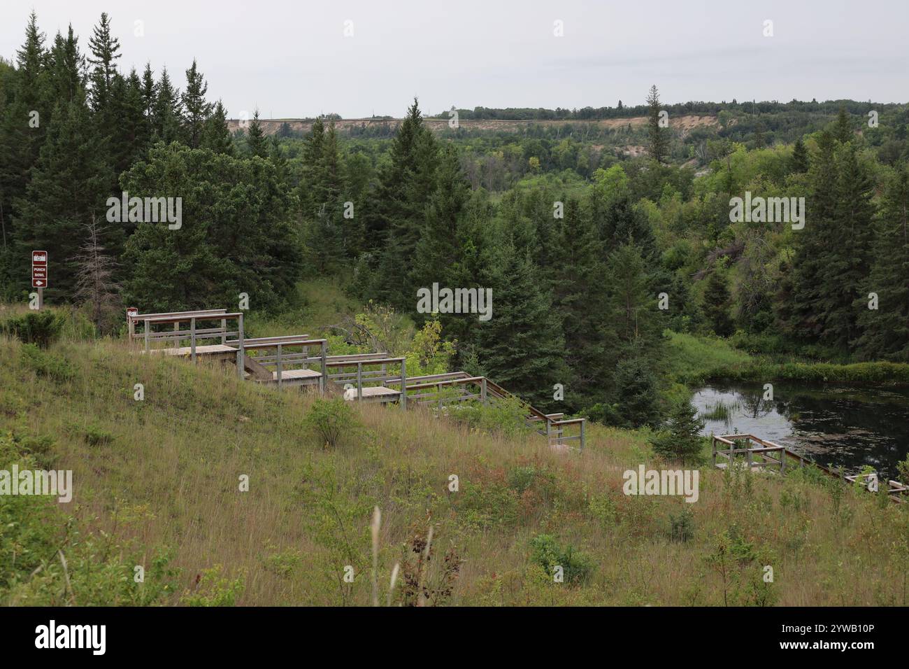 tiers of wooden platforms and steps lead down a steep ravine to a pond ...
