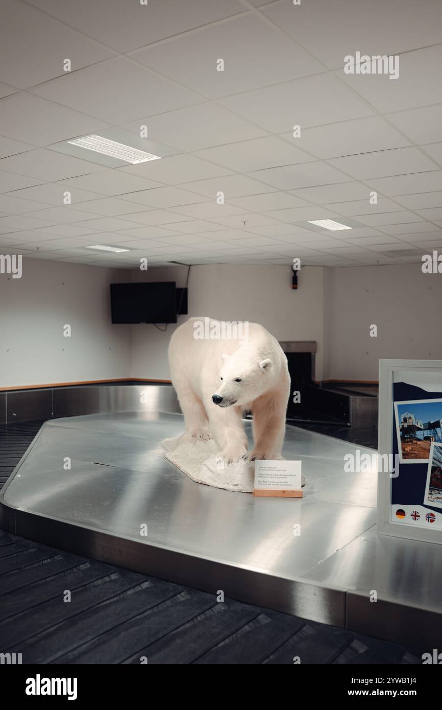 Polar bear statue in baggage area in Longyearbyen airport in Svalbard ...