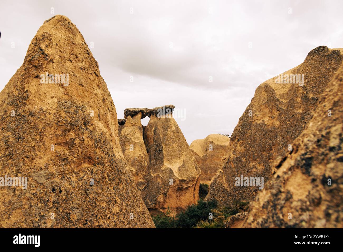 Rock Formation in the Devrent Valley in Cappadocia, Camel Valley ...